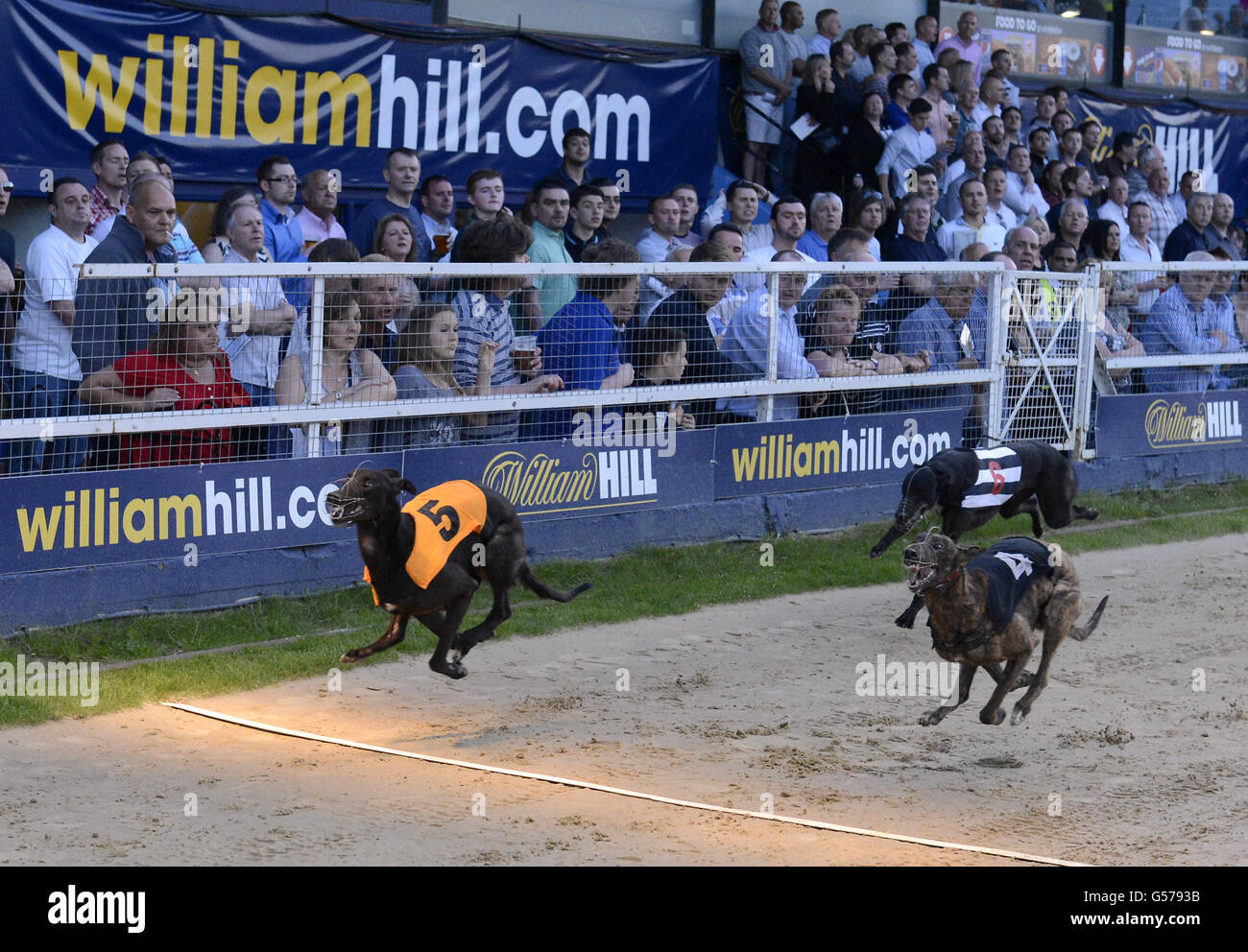 Wimbledon greyhound stadium hi-res stock photography and images - Alamy