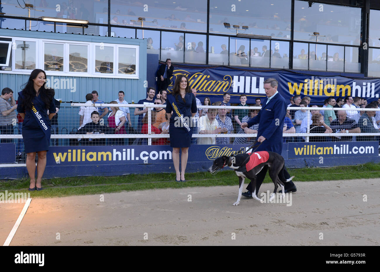 Greyhound derby final hi-res stock photography and images - Alamy
