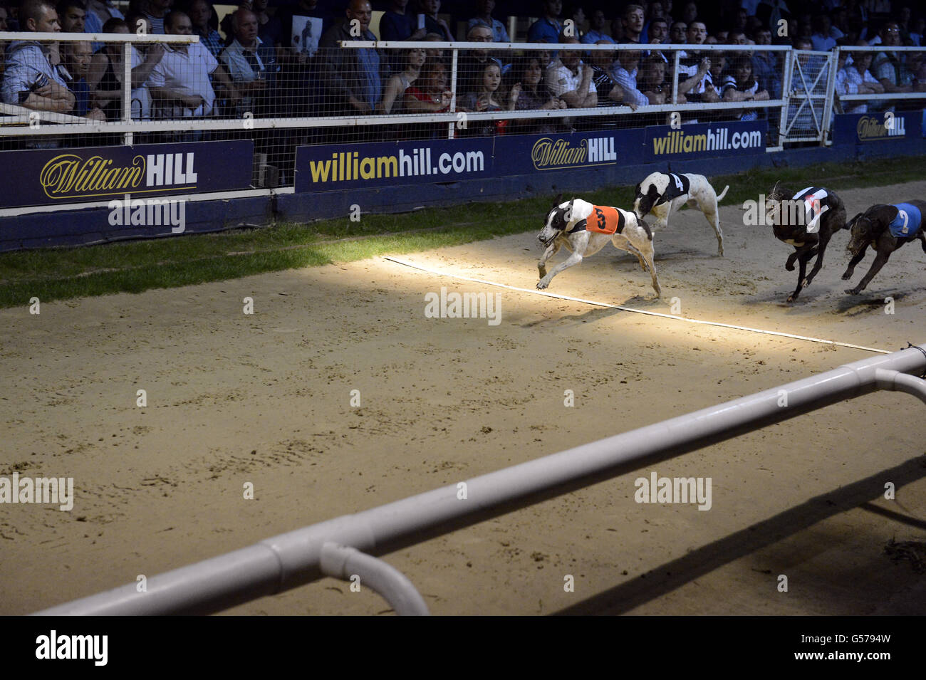 Dogs greyhound william hill brand branding advert advertising sign ...