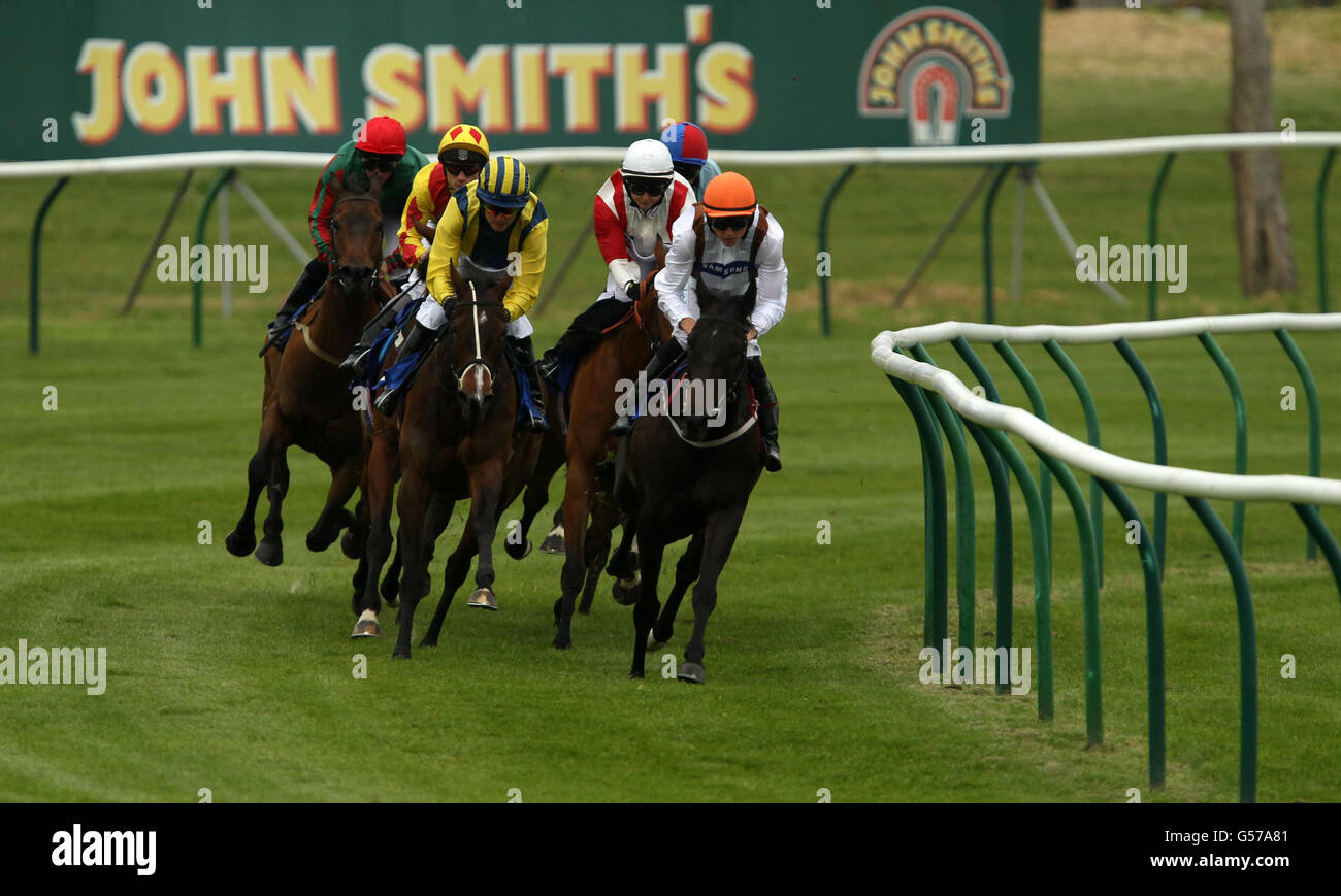 Horse Racing - Ayr Racecourse Stock Photo - Alamy