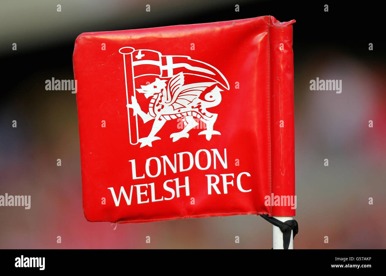 Welsh flag rugby hi-res stock photography and images - Alamy