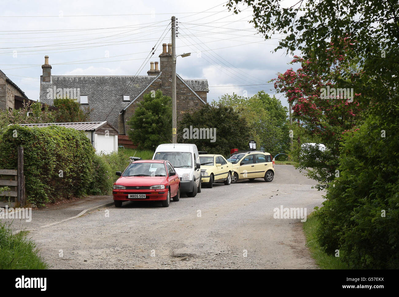 Dull twinning hopes Stock Photo - Alamy