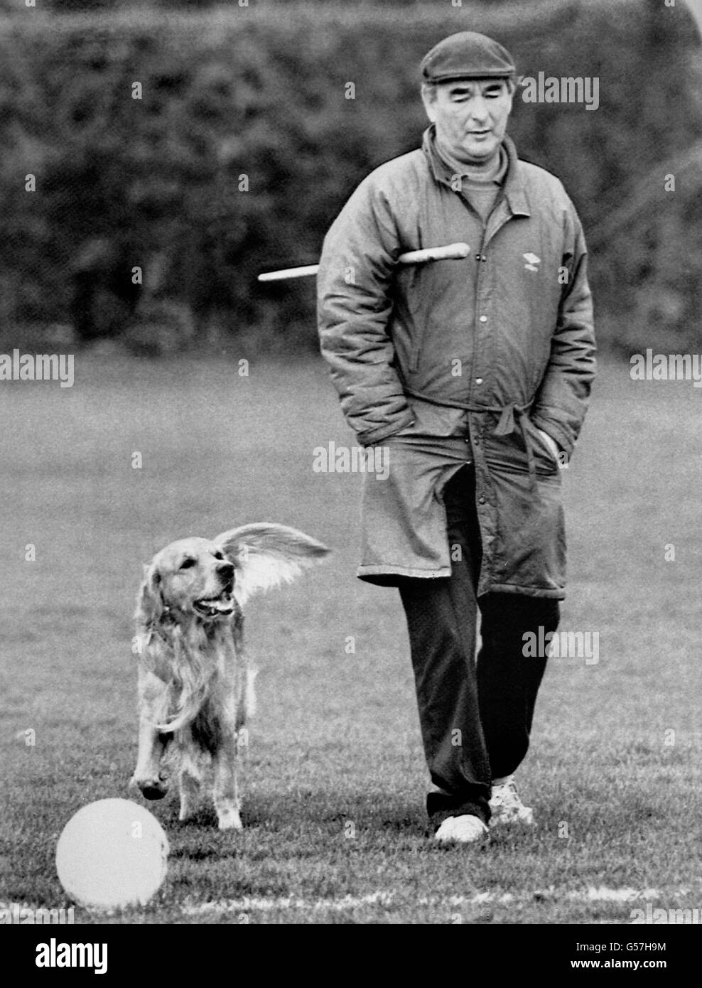 Ground dog hi-res stock photography and images - Alamy