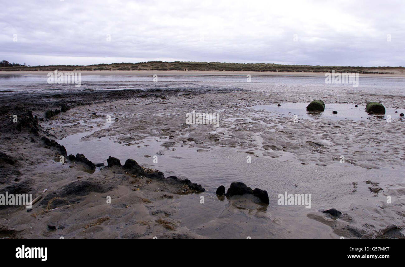 Seahenge hi-res stock photography and images - Alamy