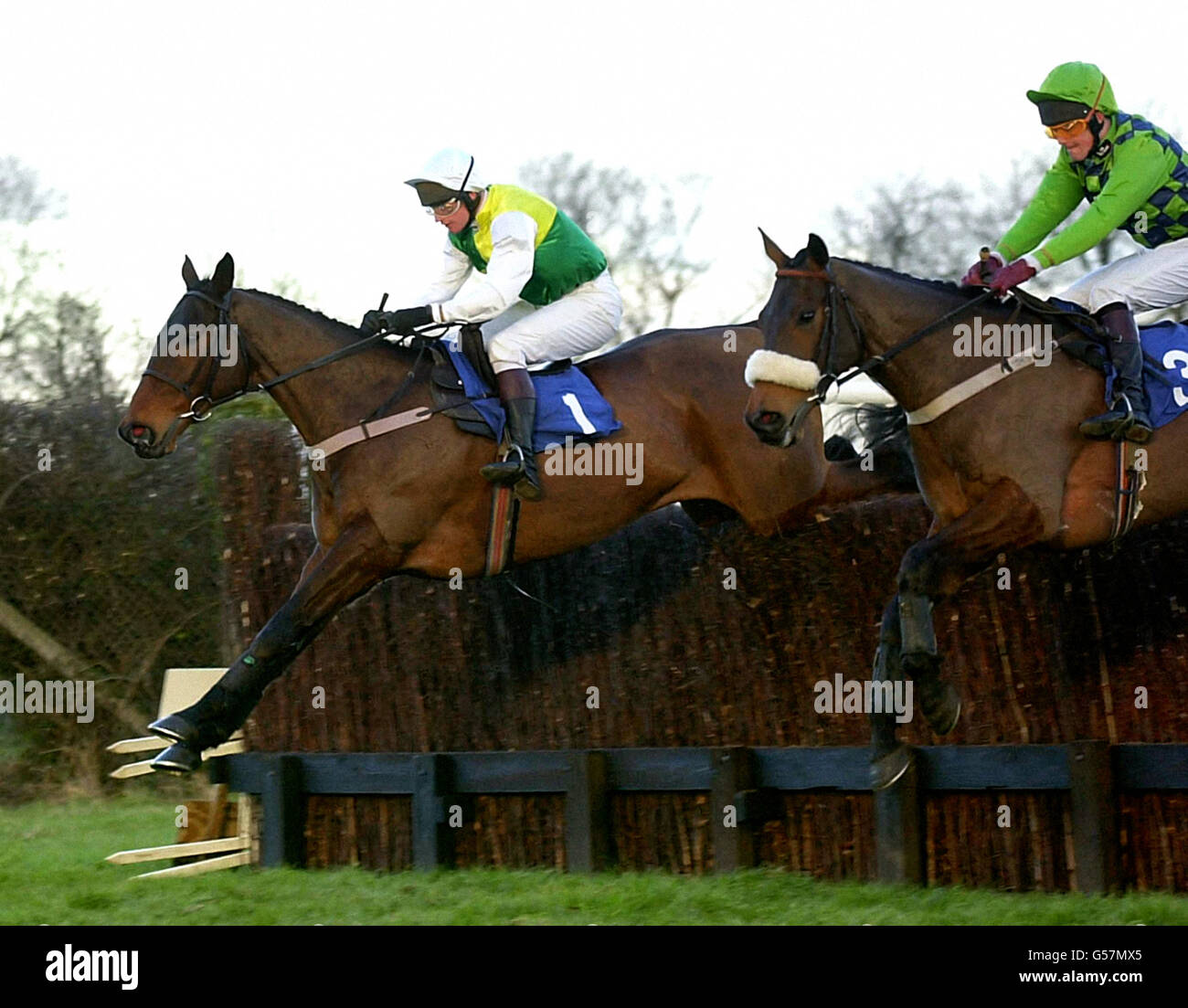Young Kenny (left), ridden by Russ Garritty, jumping alongside ...