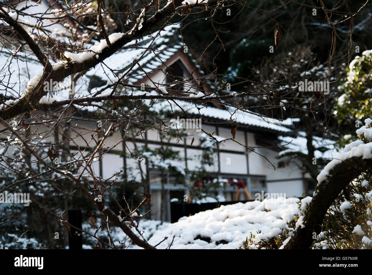 Zuihoji temple rises in the background over snowy trees in Sendai ...