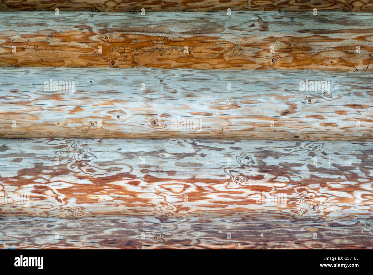 Weathered wooden logs wall of rural house background Stock Photo - Alamy