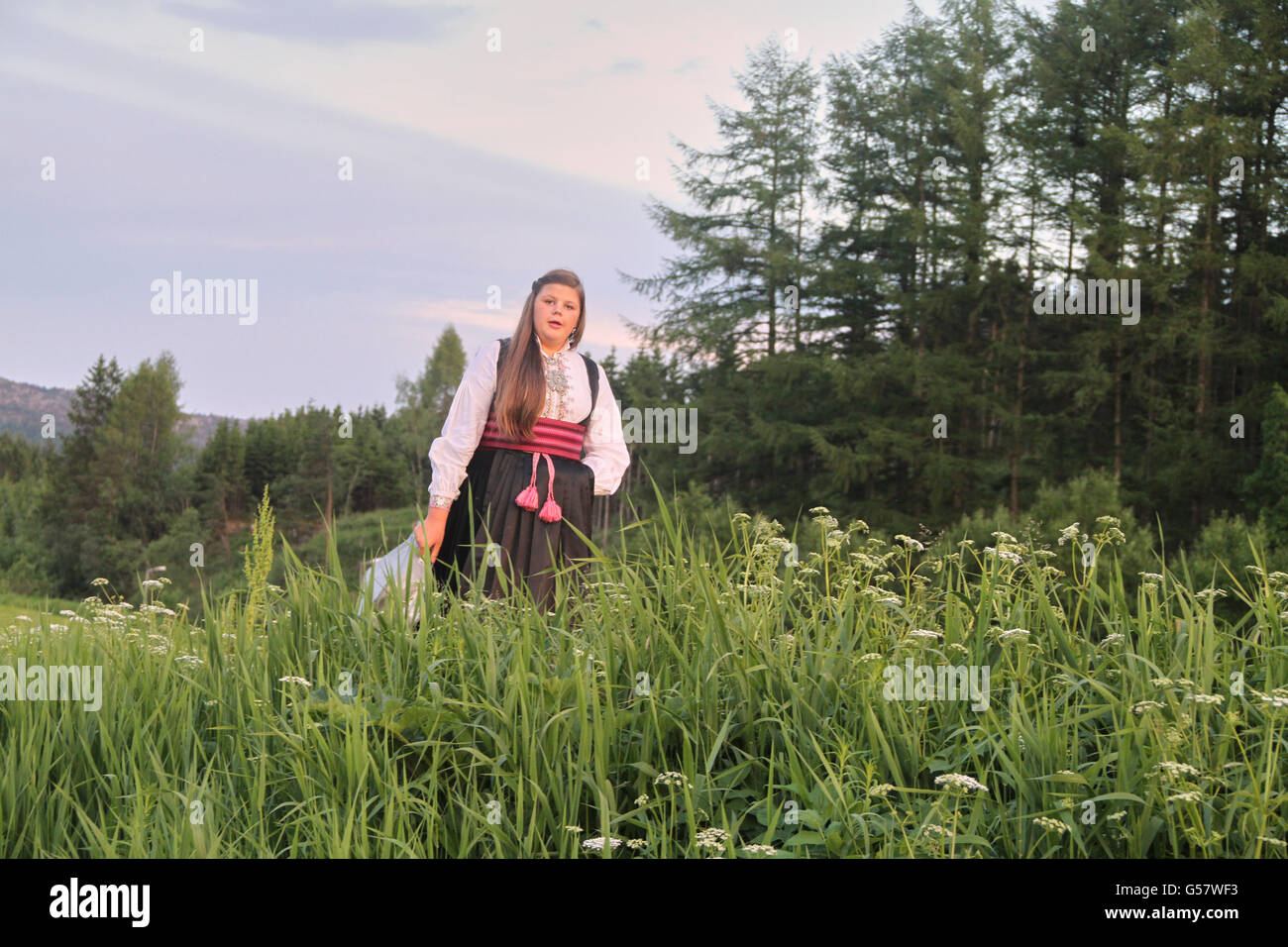 Bequtiful girl in Norwegian traditional costume from Telemark called ...