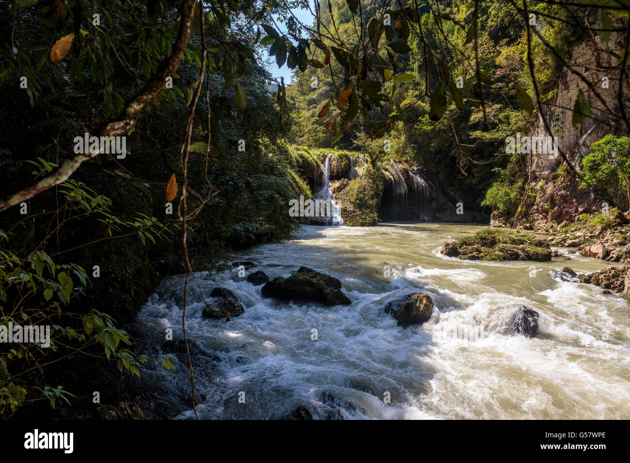 A waterfall in the lush rainforest of Semuc Champey Natural Monument in ...