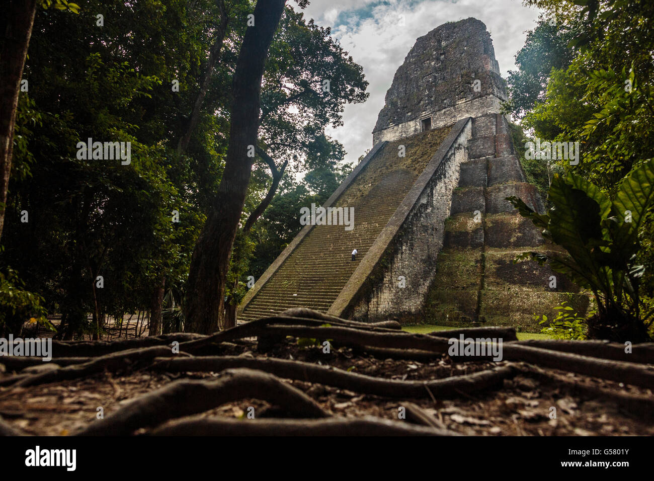 A man cleans the steps of the Temple 5 in the lost world of Guatemala's ...