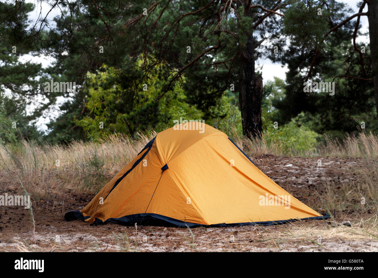 Tent forest hi-res stock photography and images - Alamy