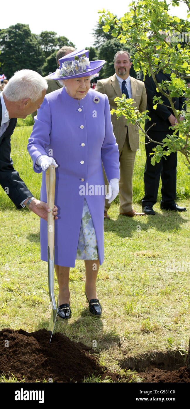 Queen Elizabeth II plants an oak tree in the grounds of Hatfield House ...