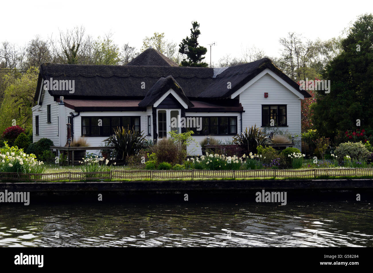 Thatched riverside house near Horning on the River Bure in the Norfolk ...
