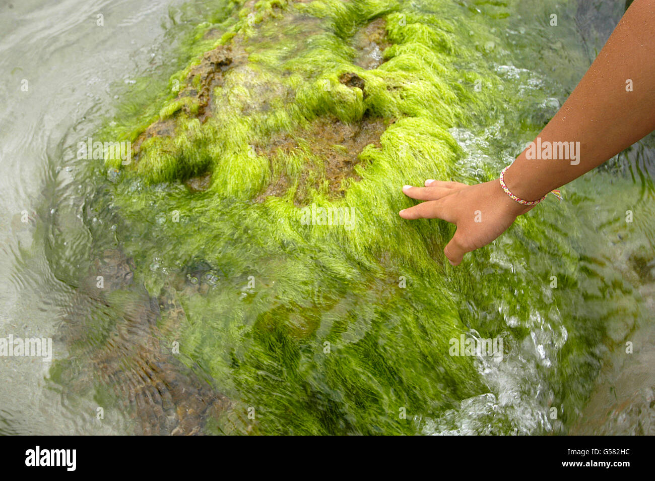 Ibiza aguas blancas hi-res stock photography and images - Alamy