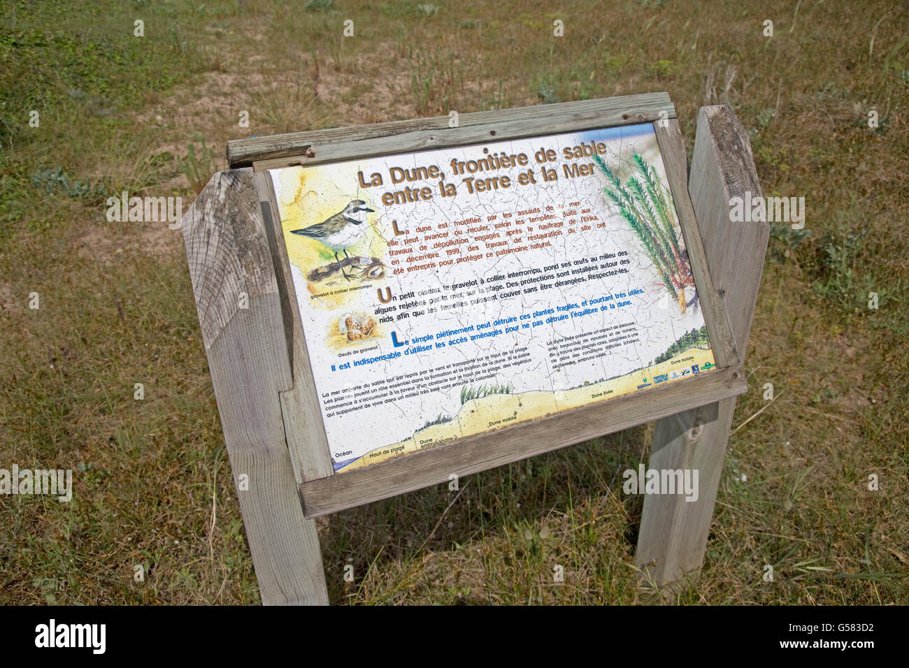 Fragile sand dunes sign respect and protect this area La Barre-de-Monts ...