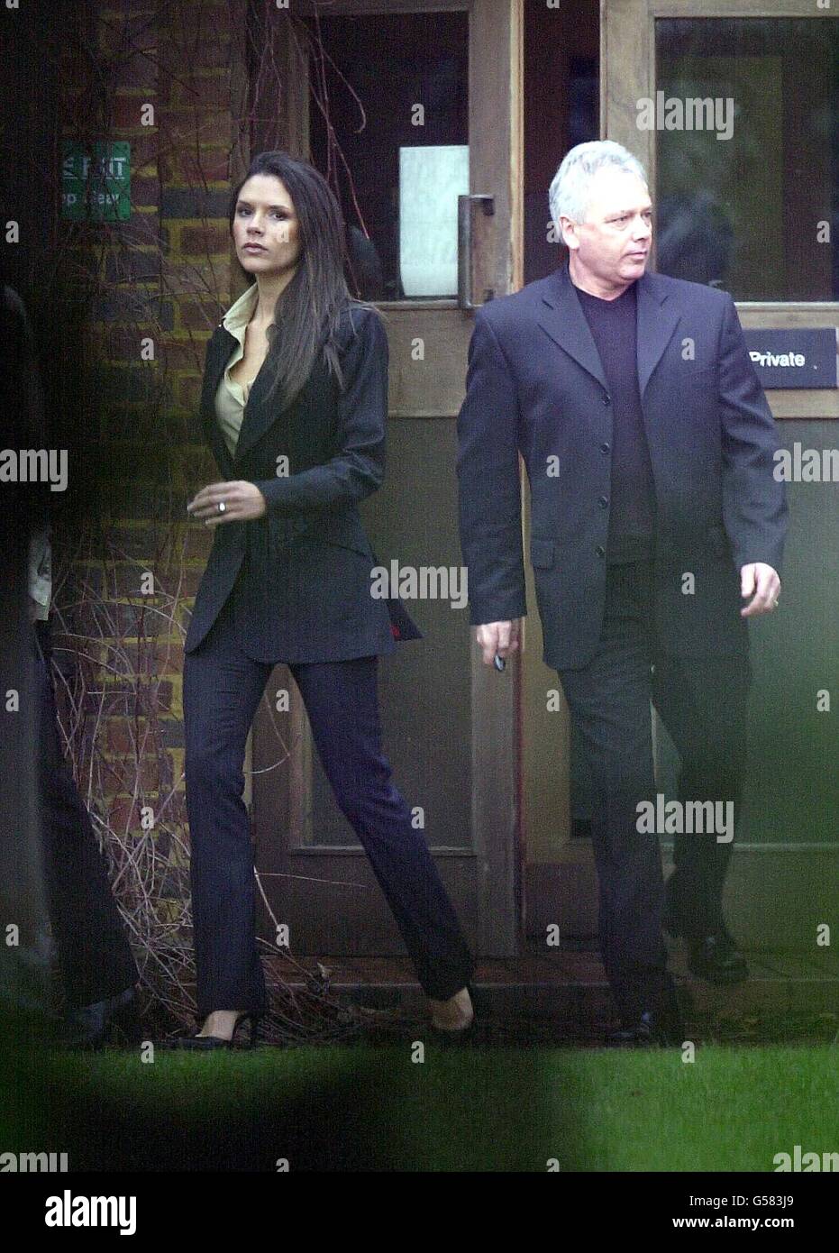 Treasured leaves hi-res stock photography and images - Alamy