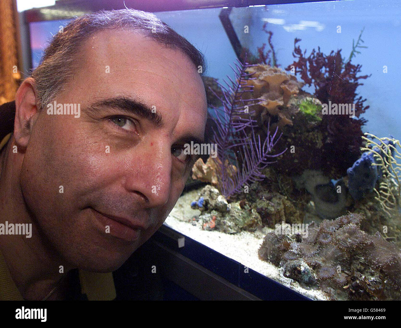 David Macpherson watches over Florence, a common octopus, who has given ...