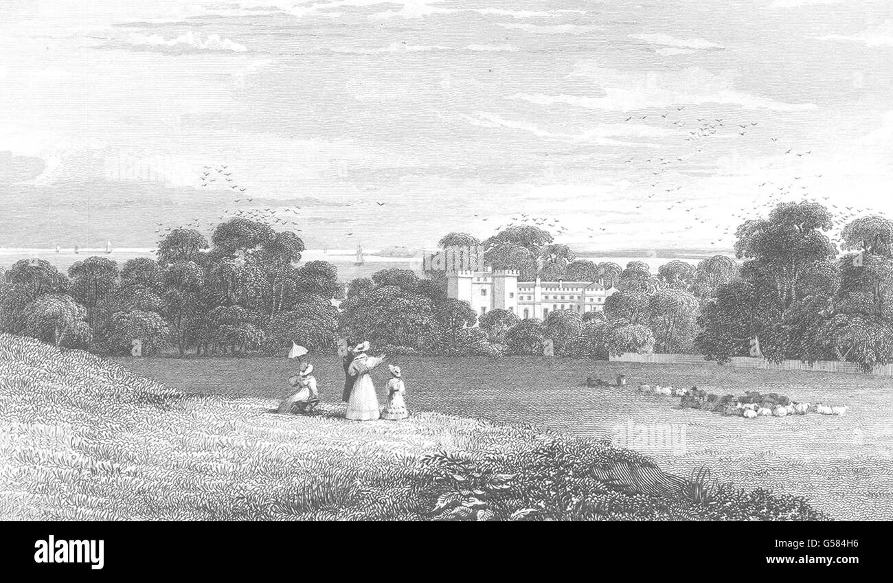 Vintage drawings of birds hi-res stock photography and images - Alamy