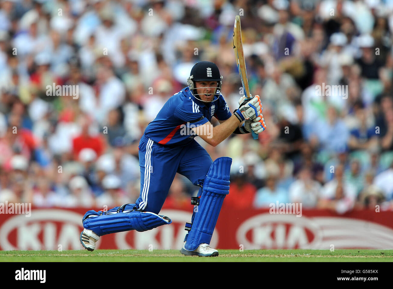 Sport cricket action ian bell hi-res stock photography and images - Alamy