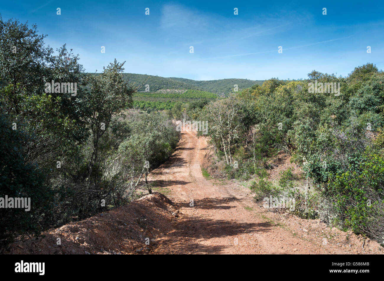 Shrublands road hi-res stock photography and images - Alamy