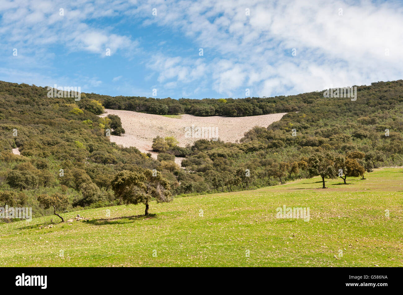 Mediterranean shrublands and flowering fallows in Toledo Mountains ...