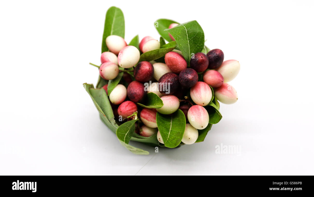 Karonda Fruit isolate on white background , Tropical Fruits from ...