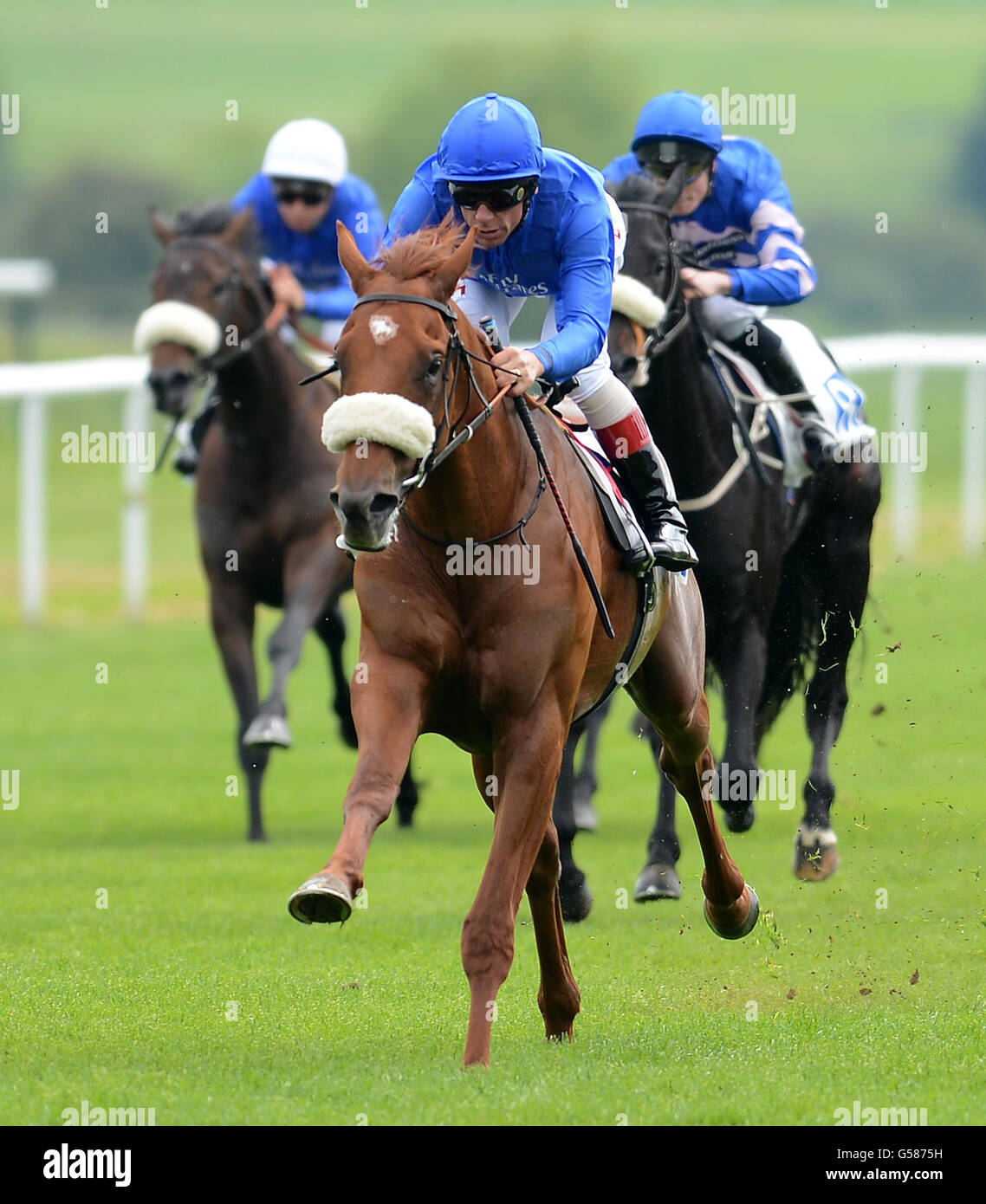 Horse Racing - Leicester Racecourse Stock Photo - Alamy