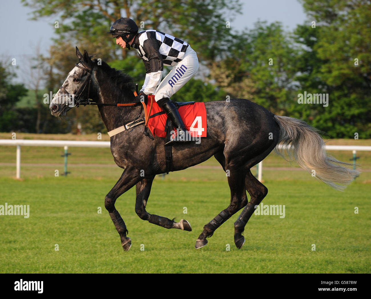 Horse racing ladies evening huntingdon racecourse hi-res stock ...