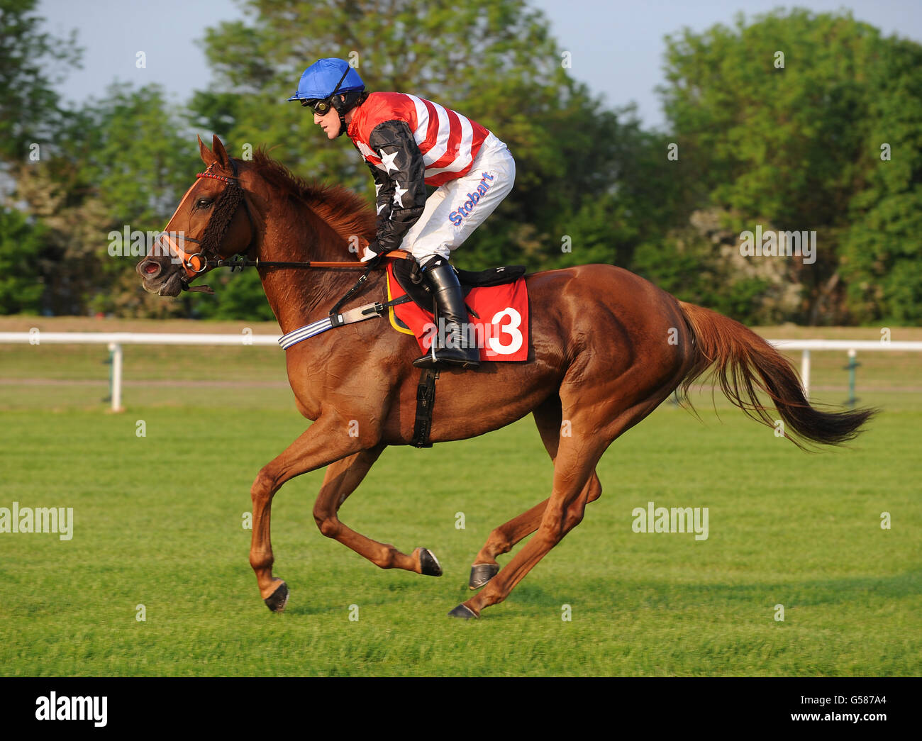 Horse racing ladies evening huntingdon racecourse hi-res stock ...