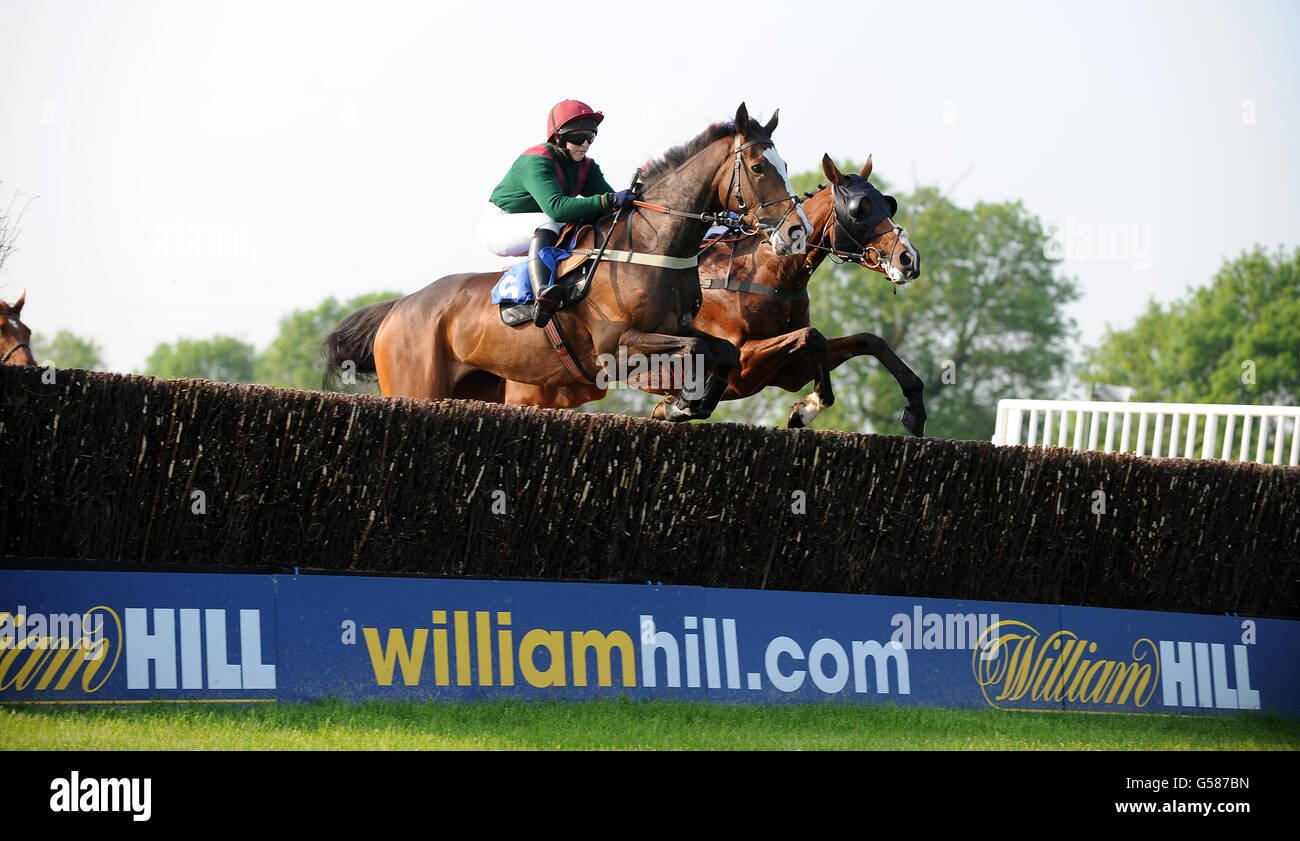 Stress ridden by Miss Carey Williamson (left) and Oscar The Myth ridden ...