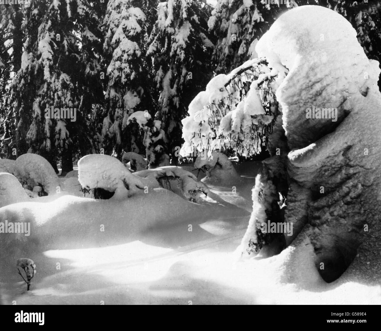 Herr weiss Black and White Stock Photos & Images - Alamy