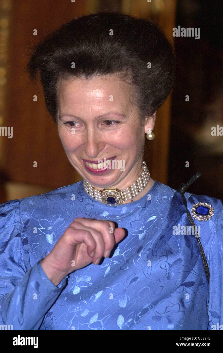 The Princess Royal listens to speeches during a party at Windsor Castle ...