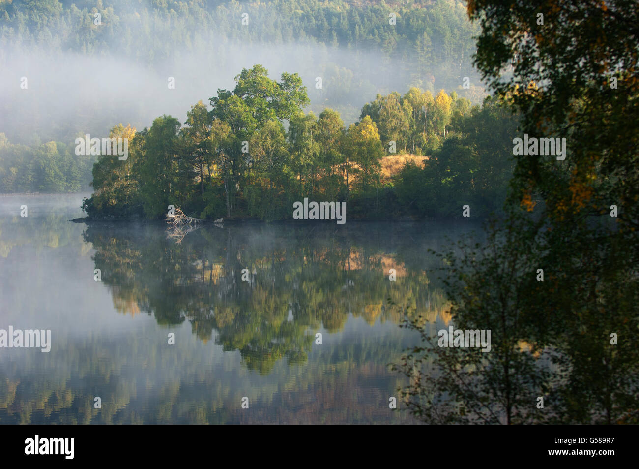 Scotland Scottish Highlands Strathconon Stock Photos & Scotland ...