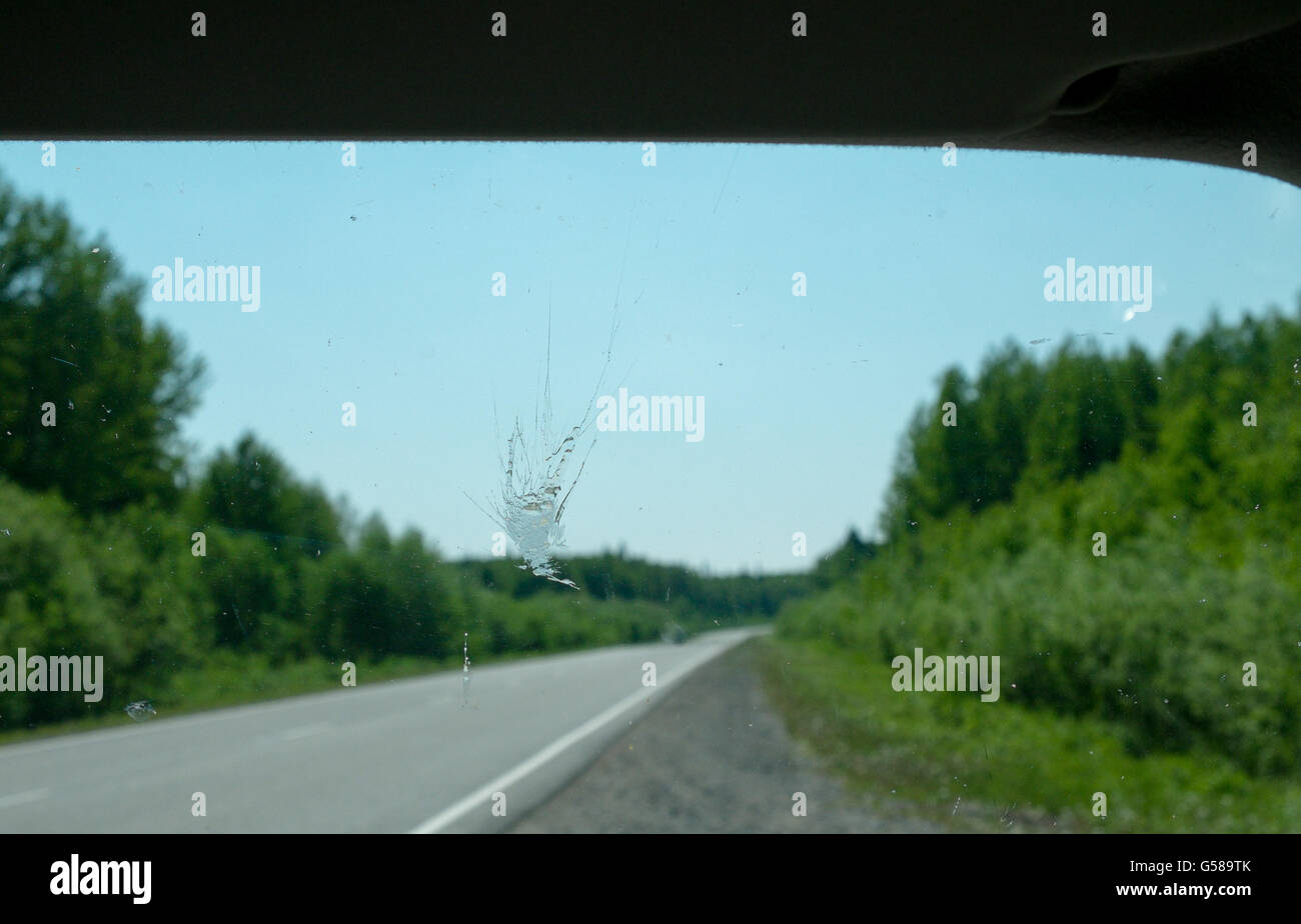 Cadaver Fly High Resolution Stock Photography and Images - Alamy