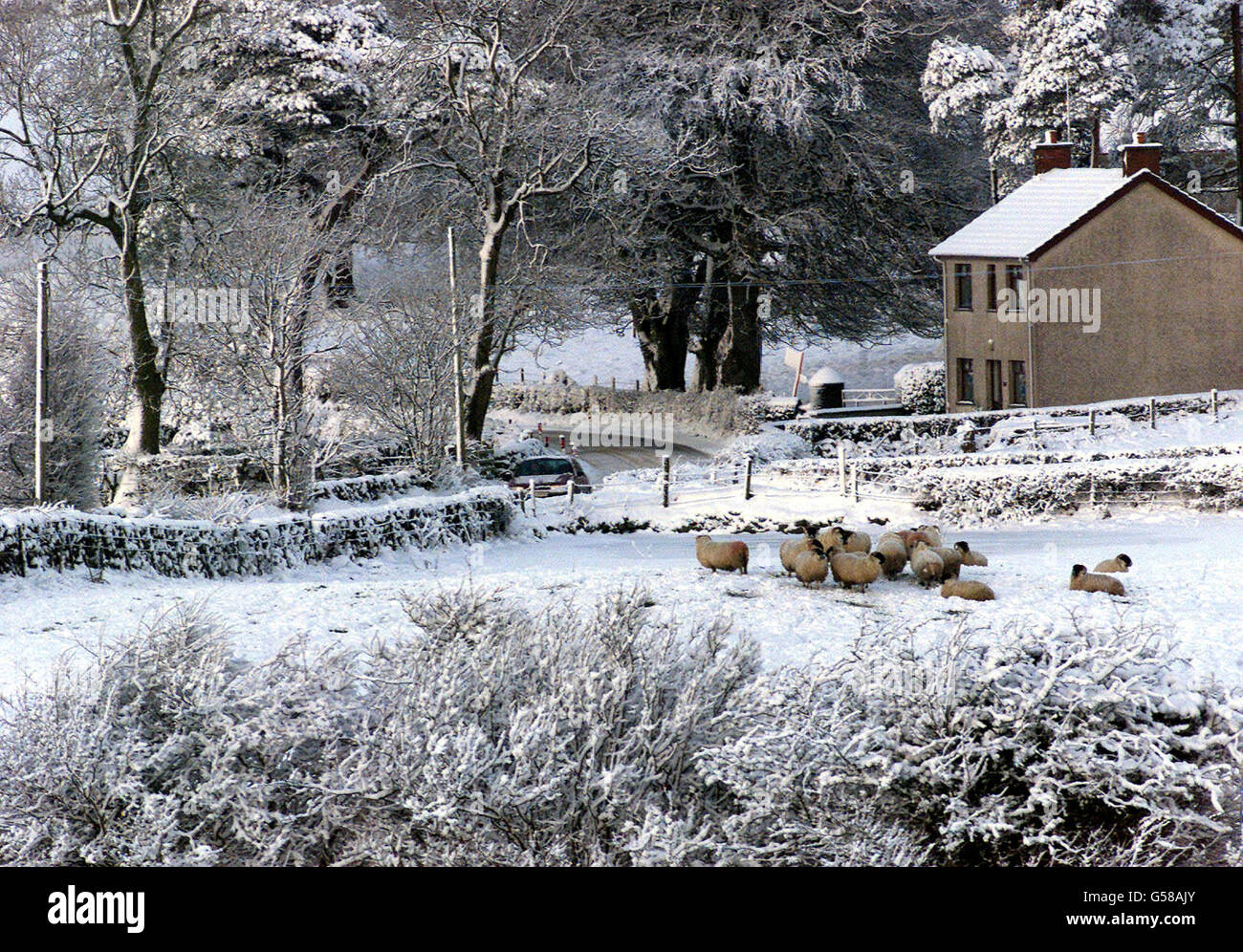 Snow In Ulster Stock Photo - Alamy