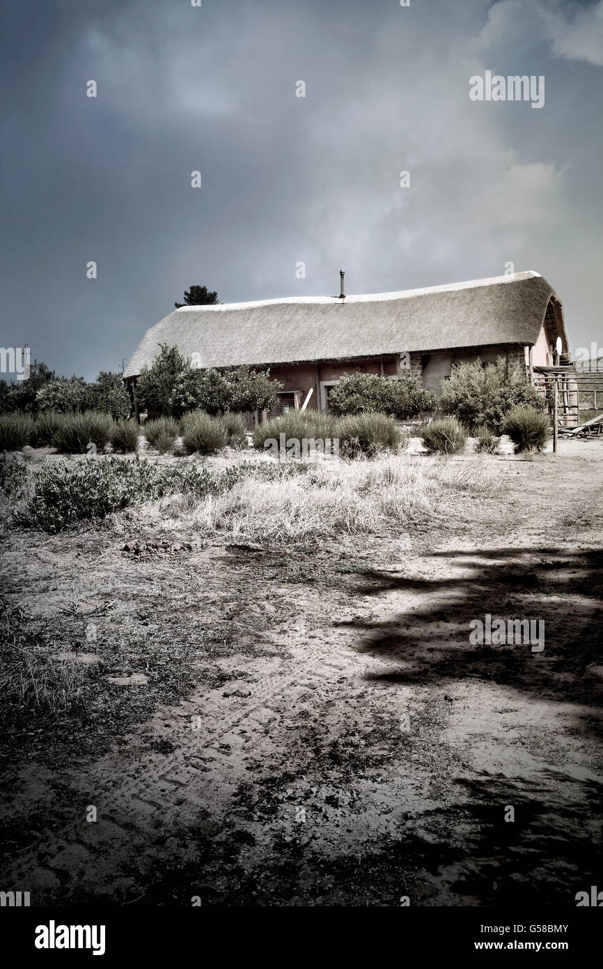 Thatched Farmhouse in South Africa Stock Photo - Alamy