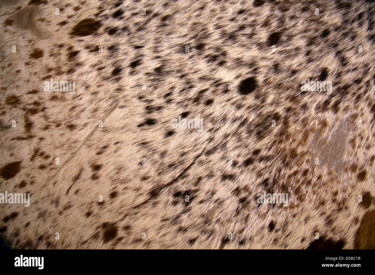 Animal covering hi-res stock photography and images - Alamy