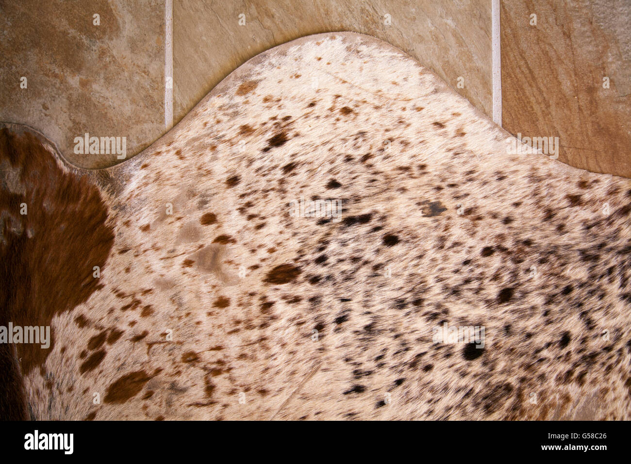 Animal Hide on Floor Stock Photo - Alamy