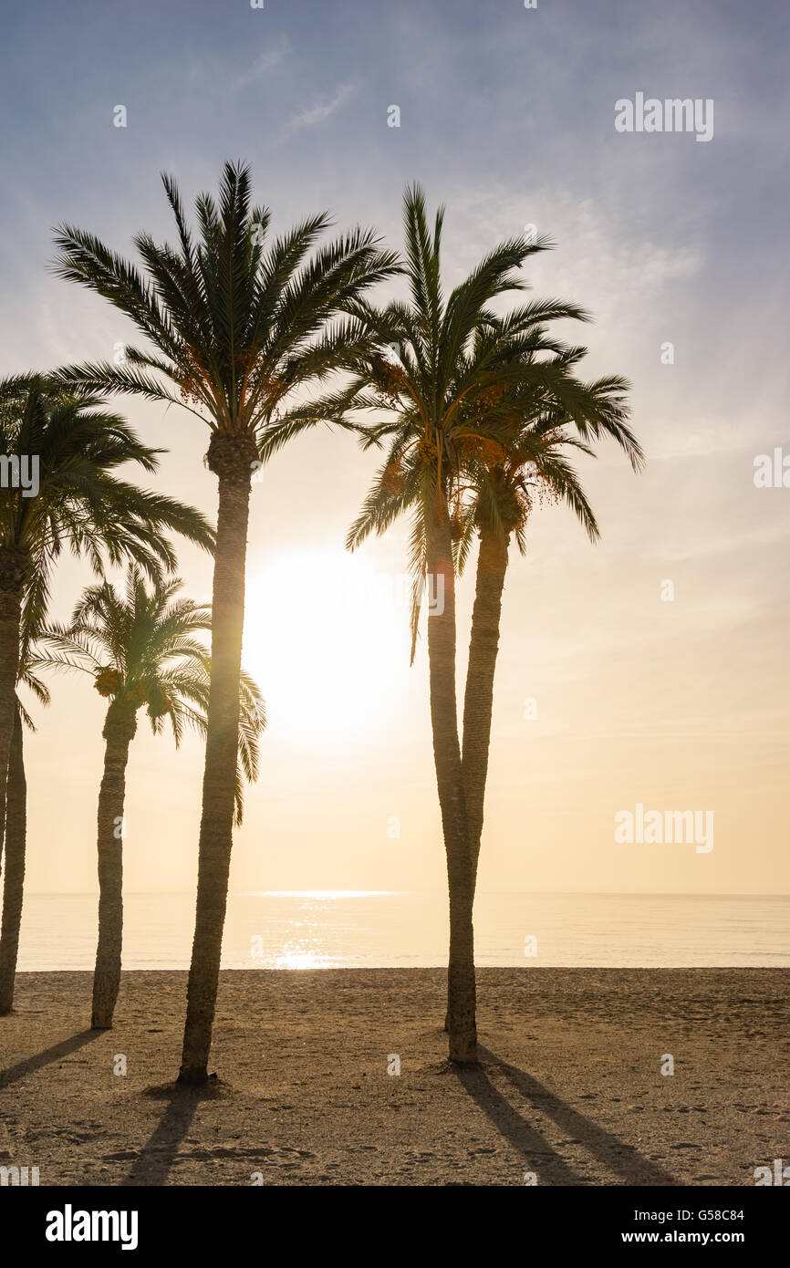 Palm relaxation hi-res stock photography and images - Alamy