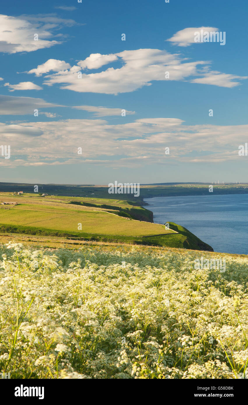 The coast of Caithness near the village of Dunbeath, from the North ...