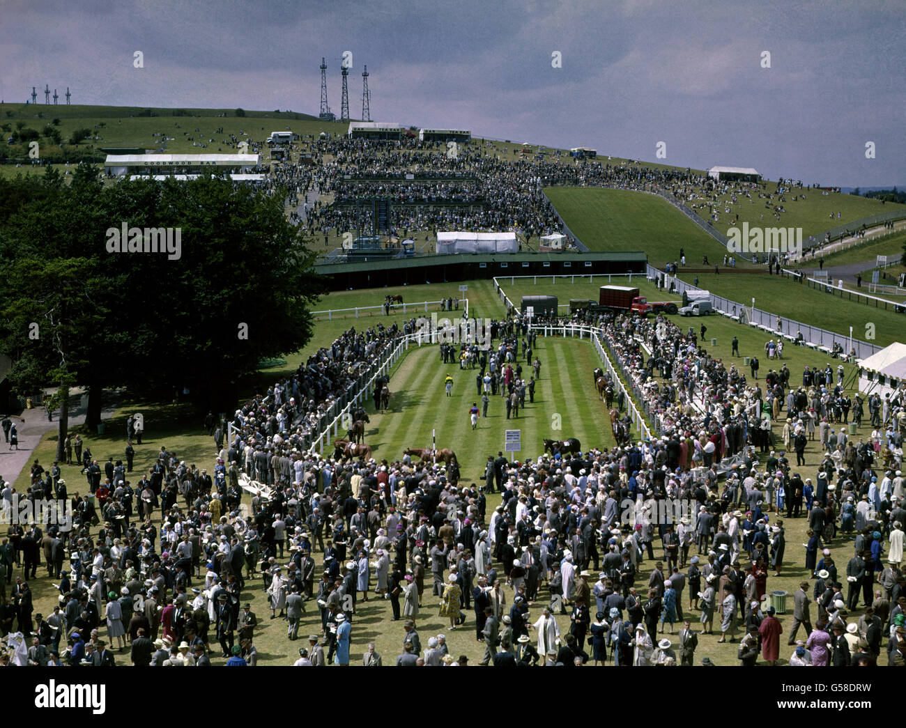 Goodwood racecourse crowd hi-res stock photography and images - Alamy