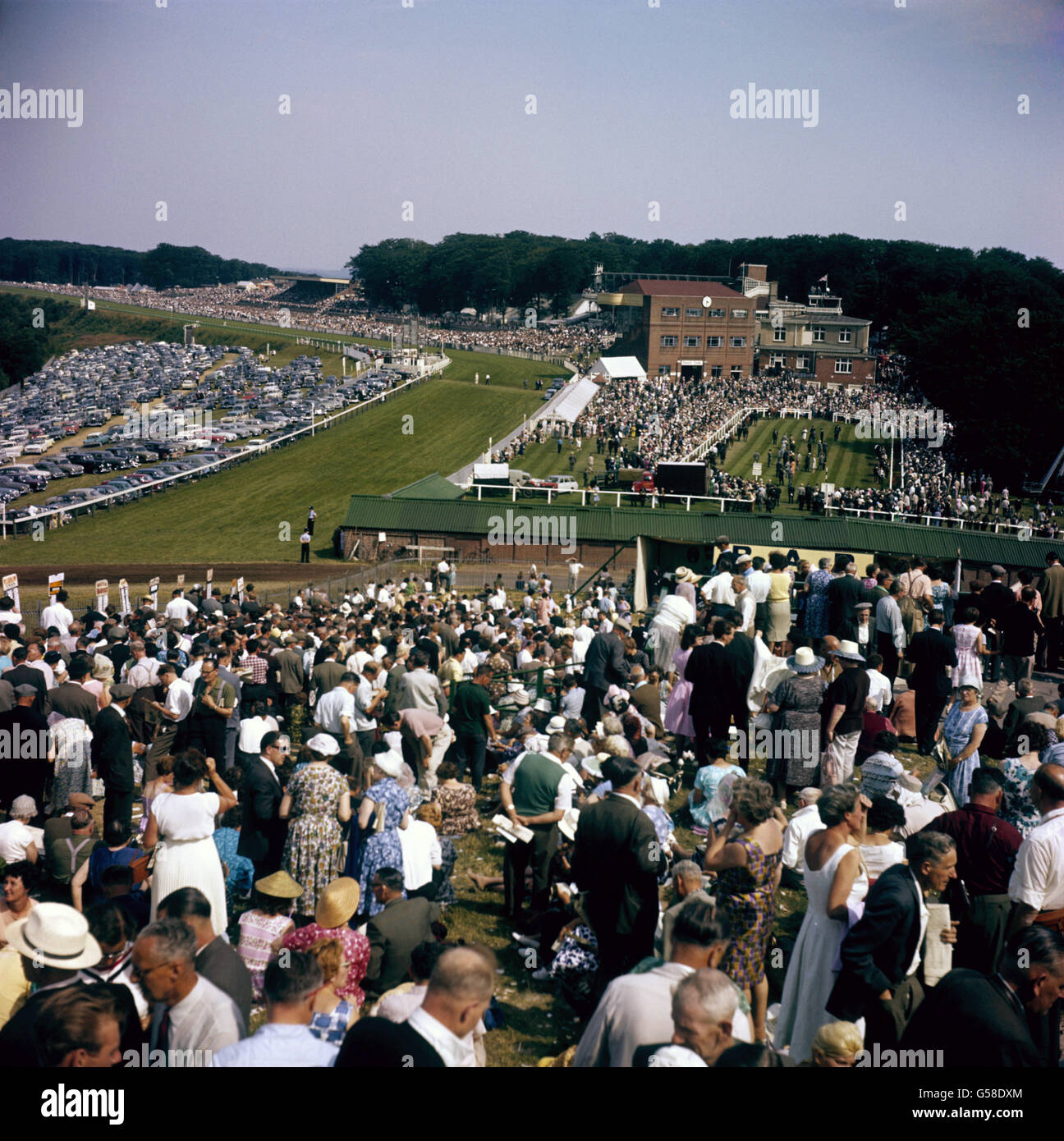 Horse Racing - Goodwood Racecourse Stock Photo - Alamy