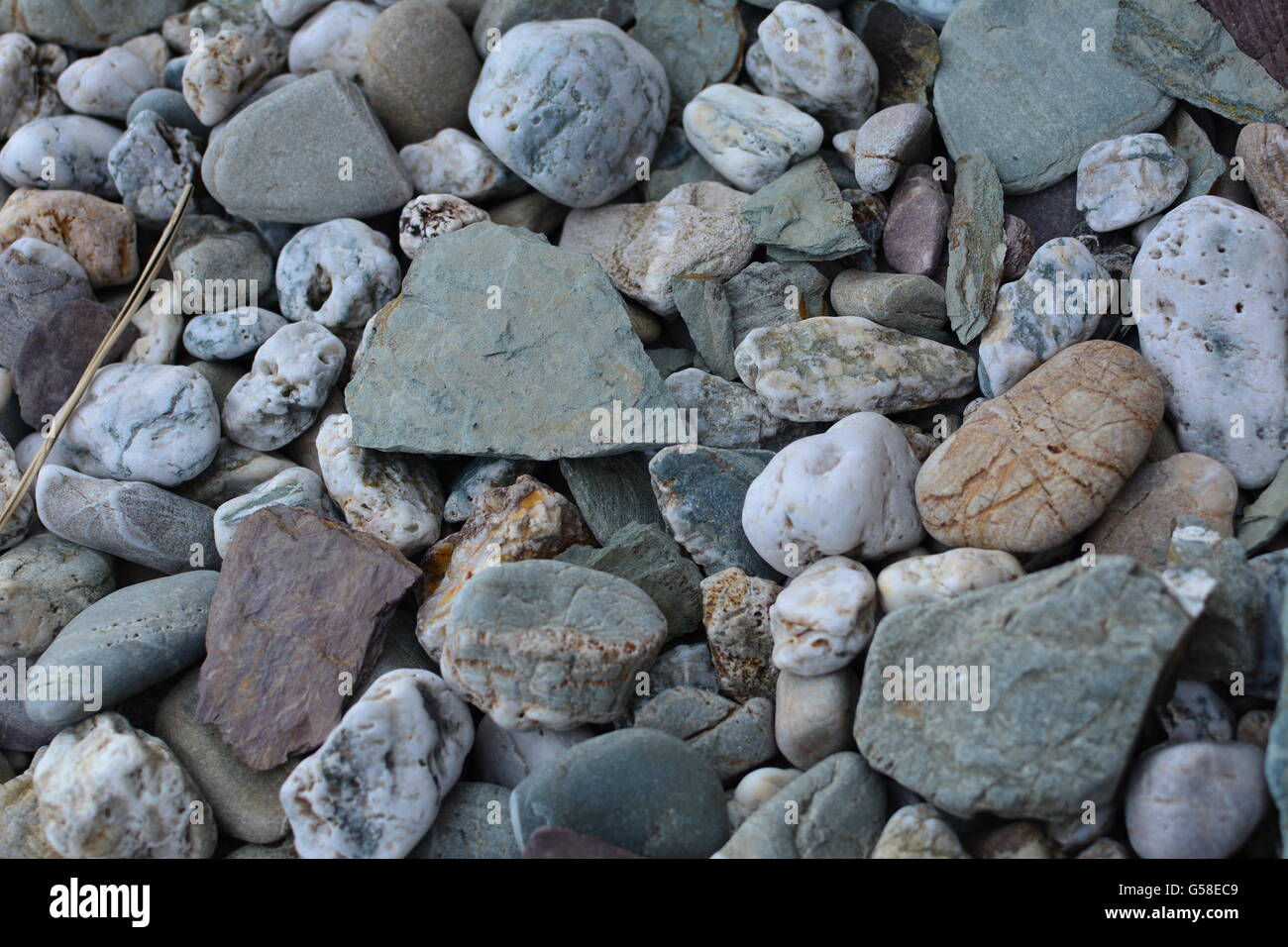rocks on the beach Stock Photo - Alamy
