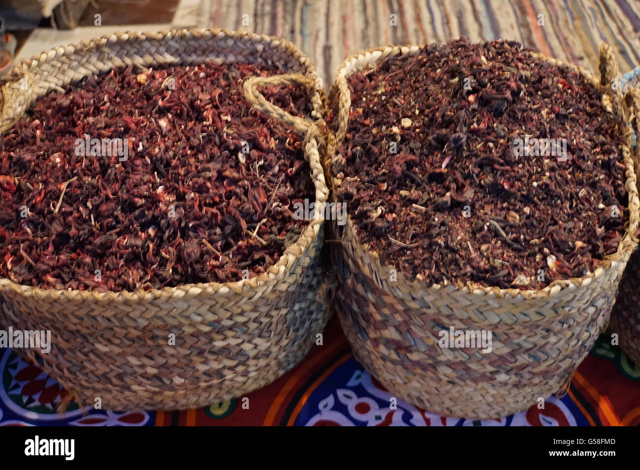 Ginger egypt hi-res stock photography and images - Alamy