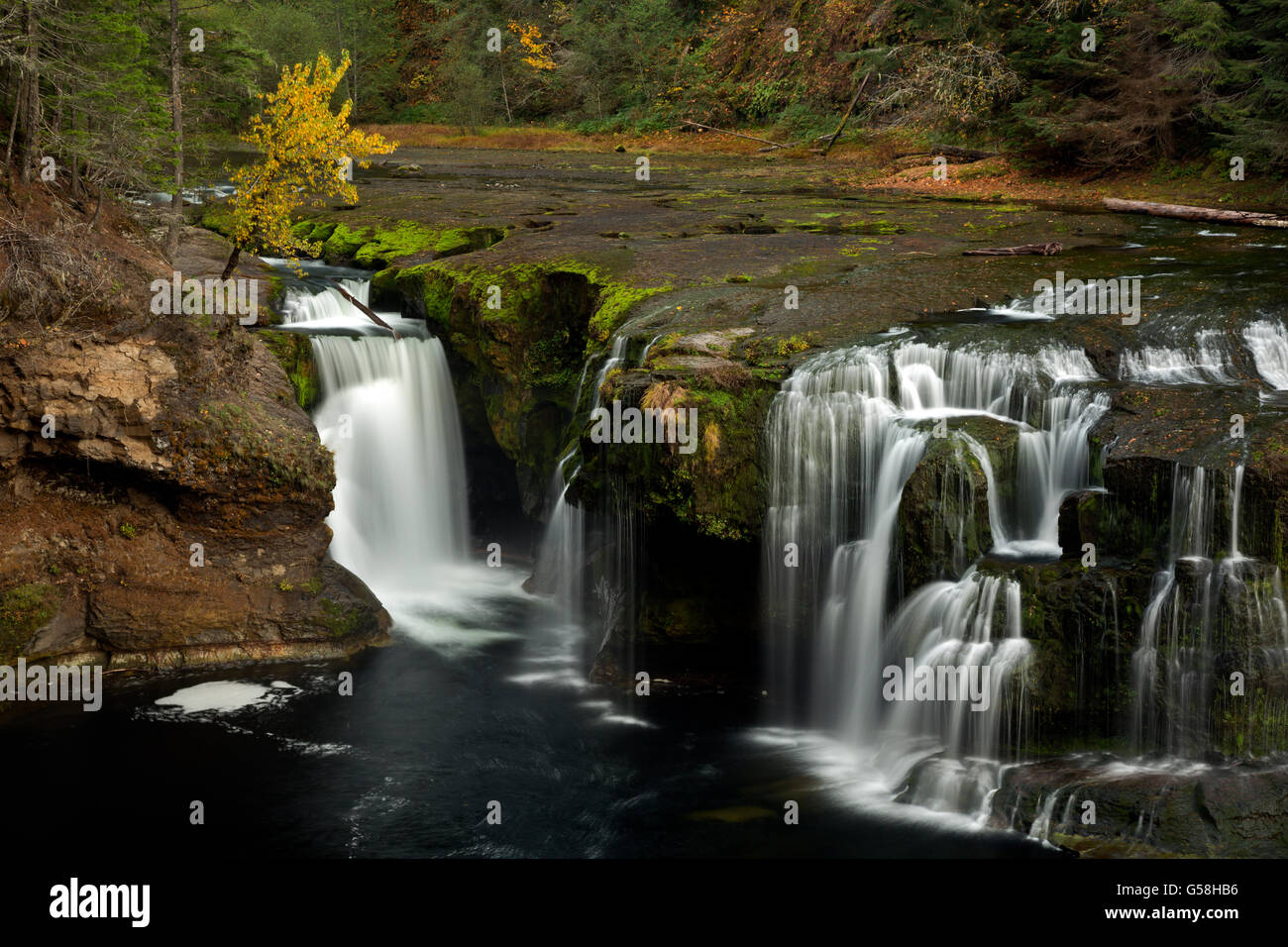 WA12828-00...WASHINGTON - Lower Lewis River Falls in the Gifford ...