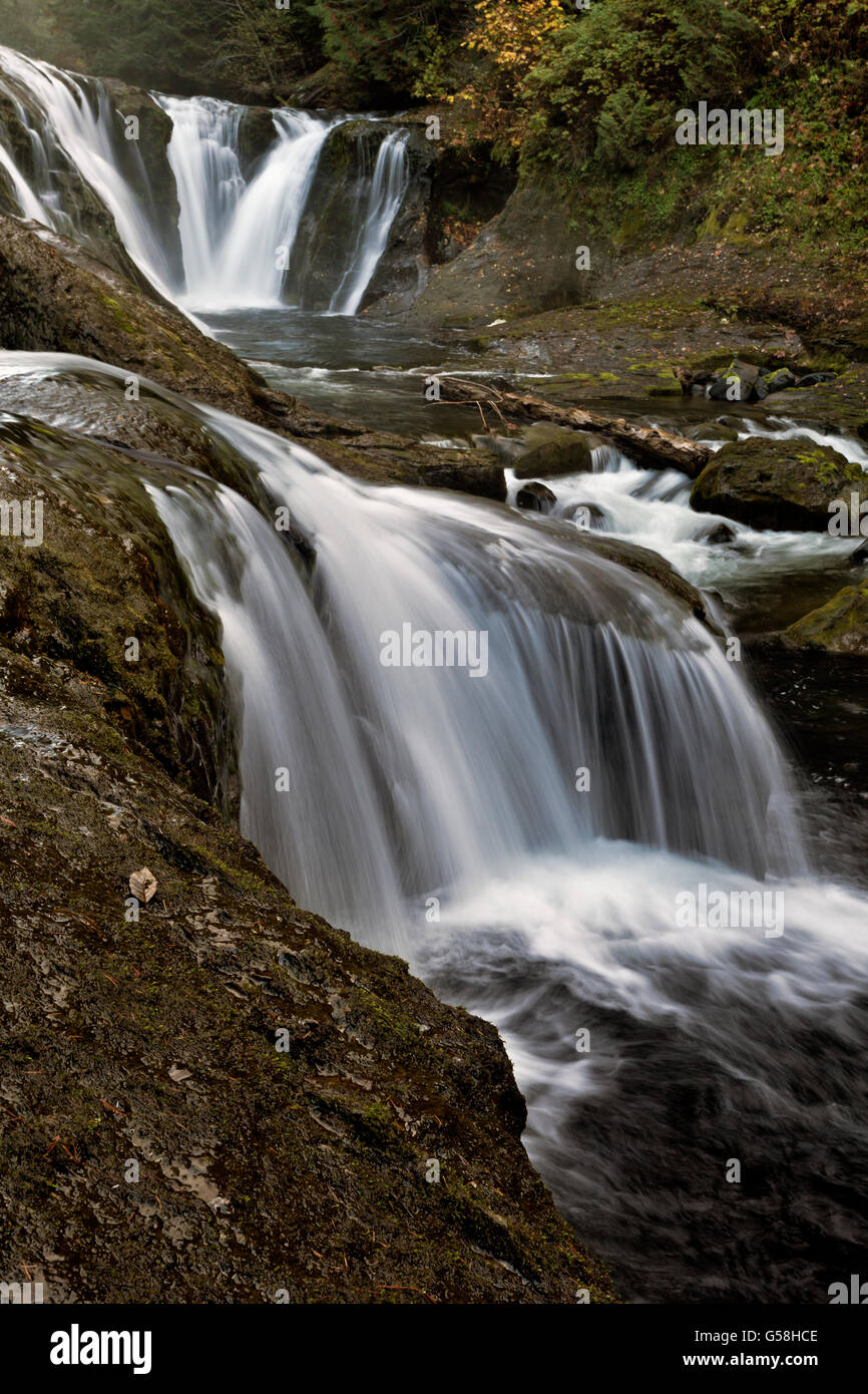 WA12835-00...WASHINGTON - Middle Lewis Falls on the Lewis River in the ...