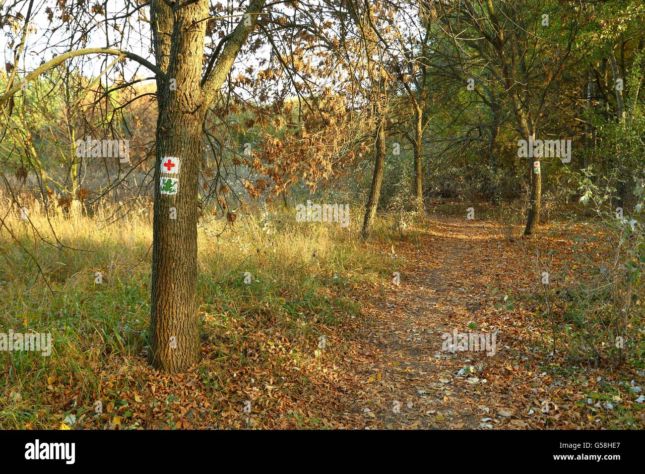 Sign forest nature trail hi-res stock photography and images - Alamy