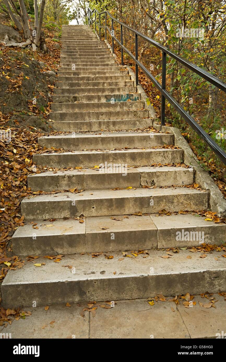 Stairs in a park hi-res stock photography and images - Alamy