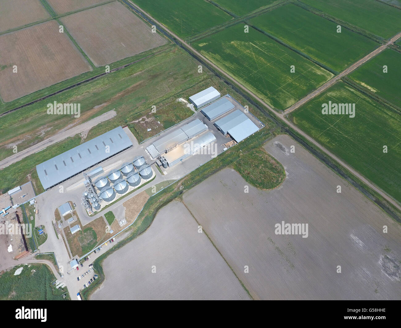 Plant for the drying and storage of grain. Rice plant in the middle of ...