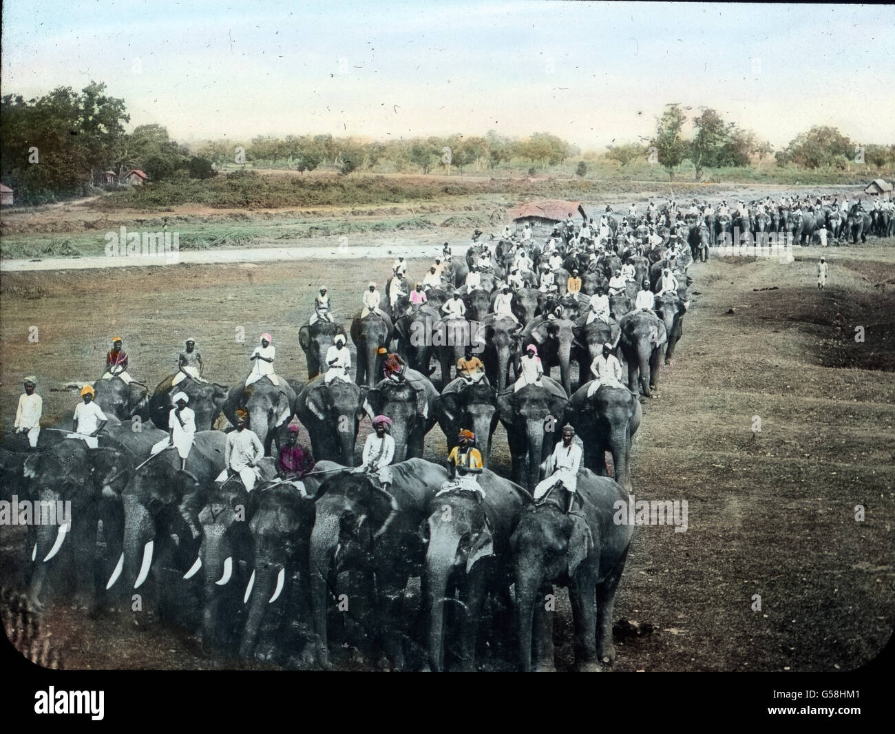 Eine Elefantenherde, Indien. India, Asia, travel, elephant, flock ...